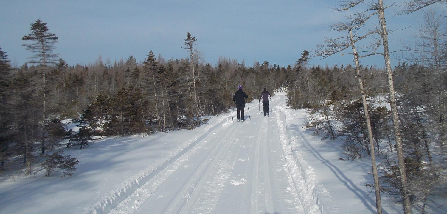 Nouvelles - Club de ski Bord-de-l'Eau inc - Sentiers de ski de fond et ...